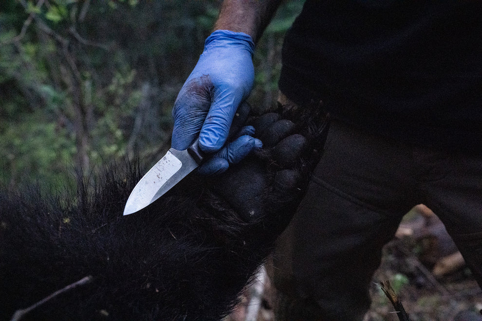 Cliff's Hunter – Pursuit With Cliff